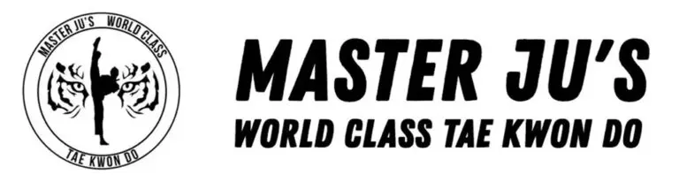 Kids Birthday Parties | Master Ju's World Class TKD